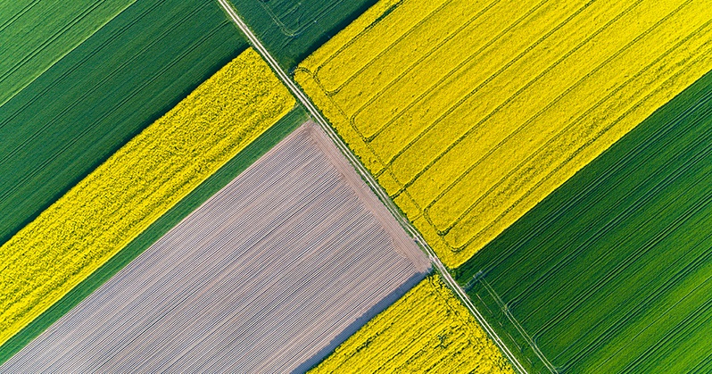 New Professional Indemnity Insurance Product on ProBind - Prorisk