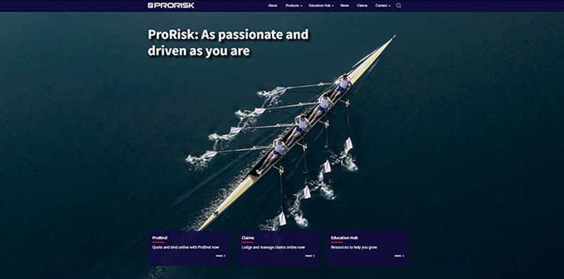 ProRisk launches new website - ProRisk