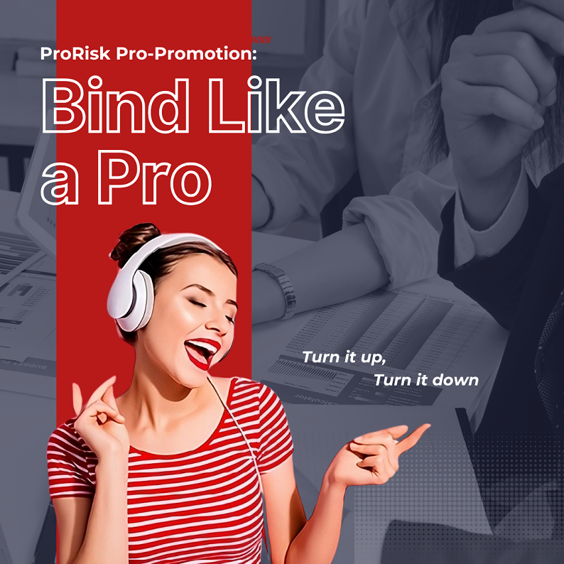 Bind Like a Pro - Prorisk